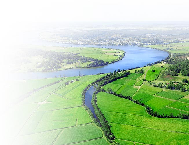 ICE Report Center - Data