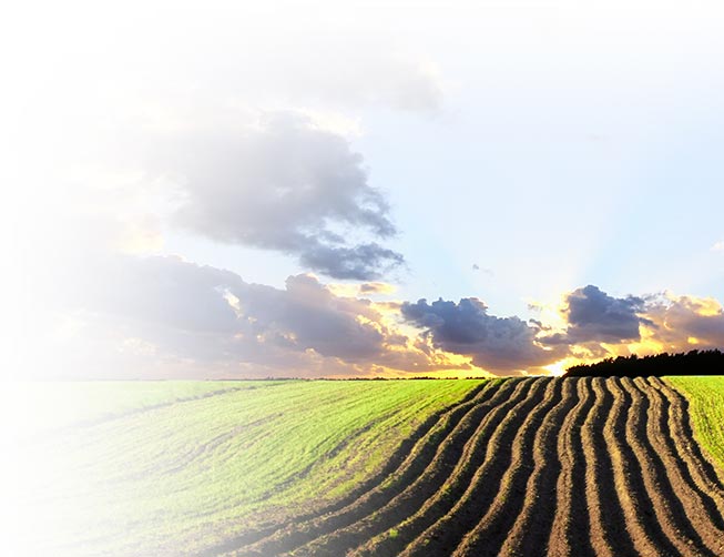 ICE Report Center - Data