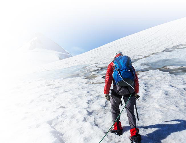 ICE Report Center - Data