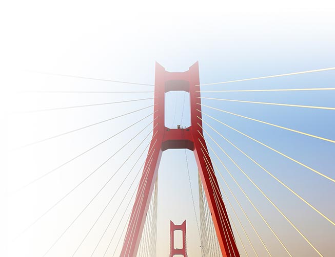 ICE Report Center - Data