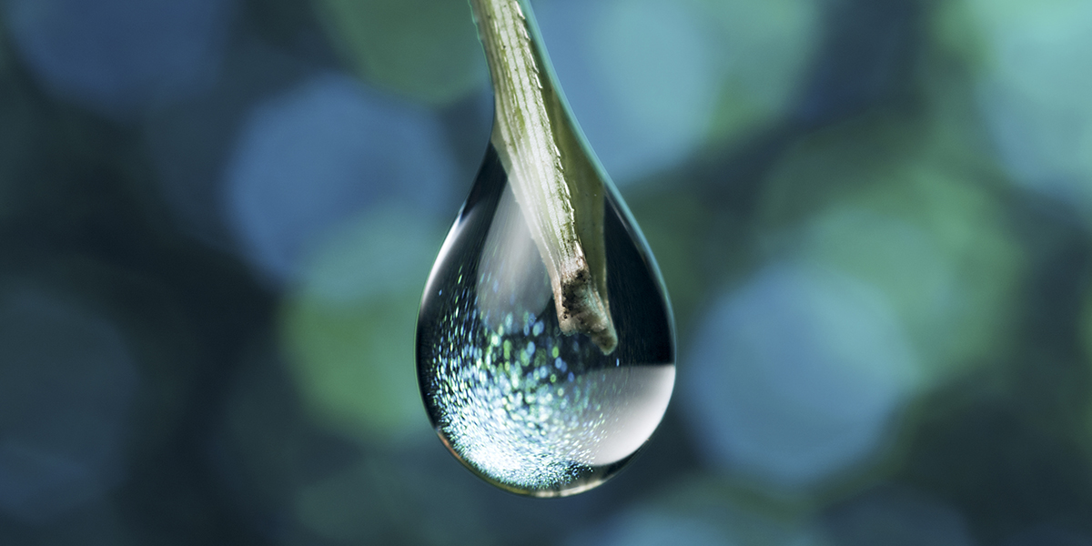 US Renewable Fuels: Volatile markets drive demand for RINs and RVO risk ...