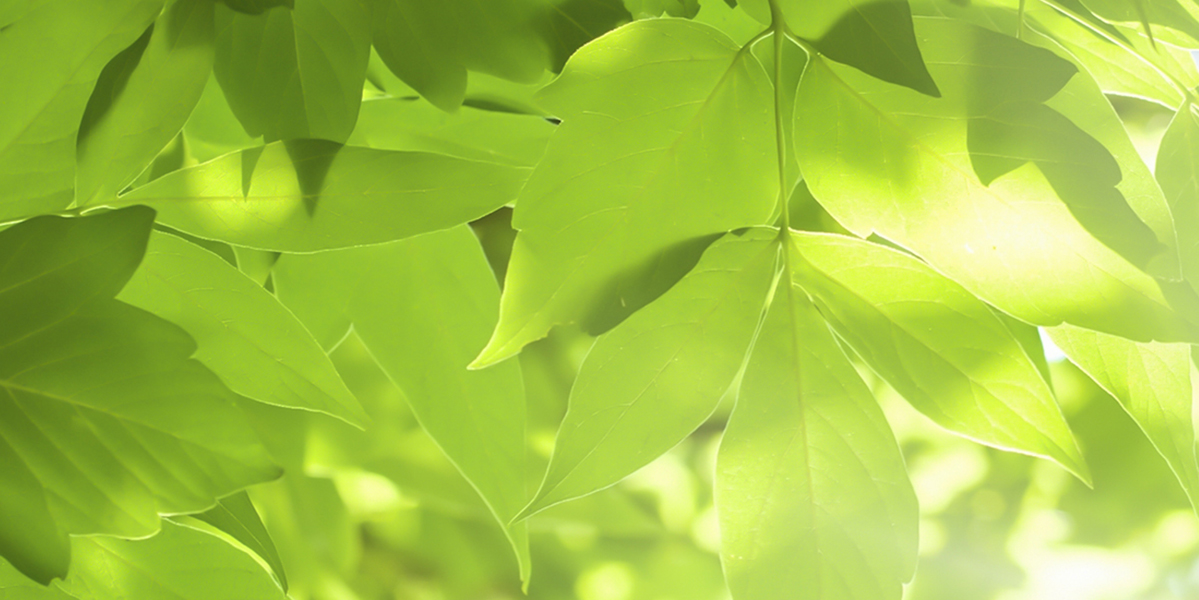 ICE Sustainable Finance Impact Briefing: Disclosure Delight | Insights ...