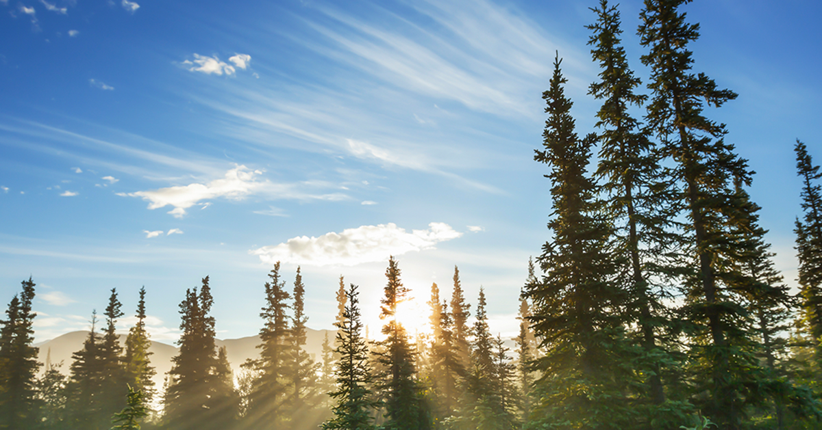 ICE Climate Monthly Report